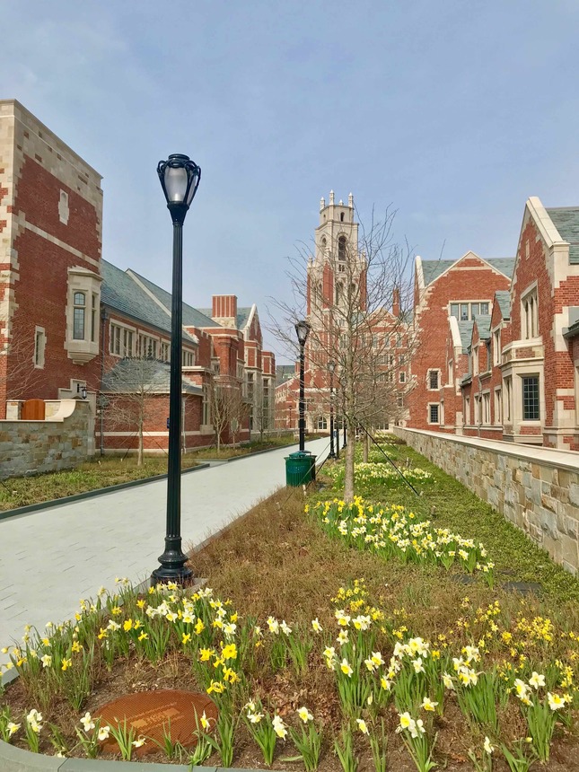 First-years | Daily Snap | Yale Alumni Magazine